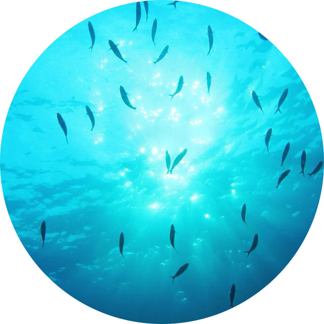 Programmer Competency Matrix | Jason Wang's Playground